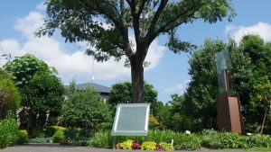 ”優しさ”は最強の癒しパワー！「Moani Ke'Ala(モアニケアラ)」心穏やかにしてくれるハワイアン・ソング ⋆ MUSBIC/ムスビック